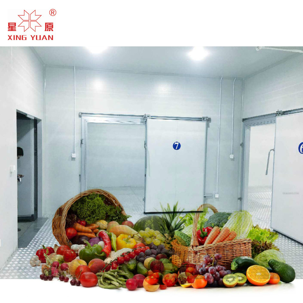 Cold storage cold room design for fruit and vegetables - tradechina.com